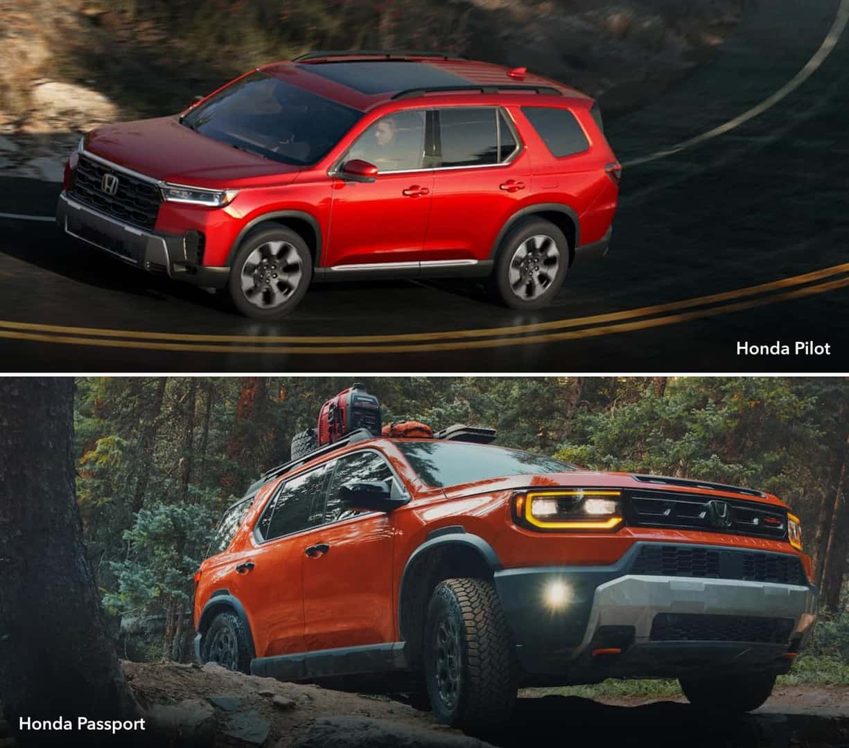 Honda Passport Vs Honda Pilot Specs