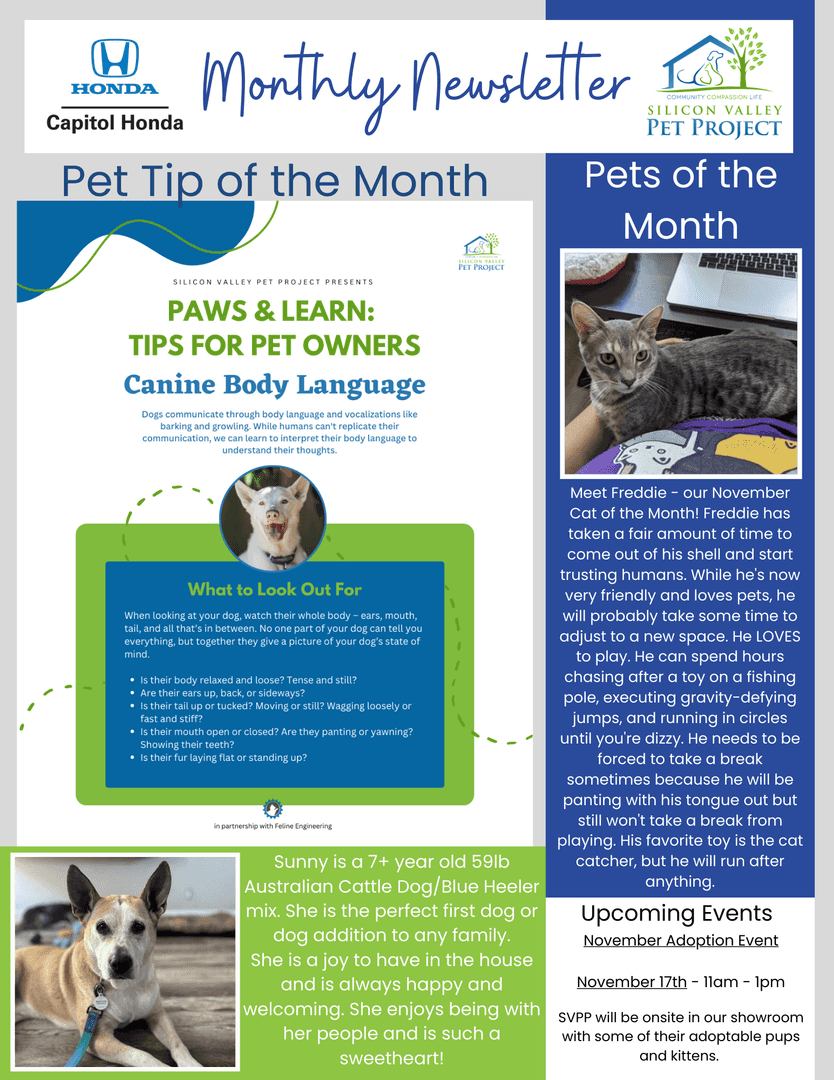 Monthly Newsletter | Capitol Honda