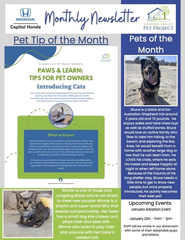 Monthly Newsletter | Capitol Honda