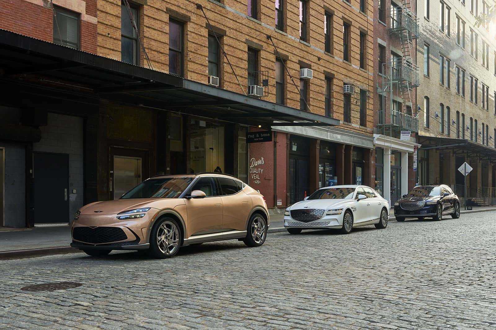 Charge into the Future with Genesis Electric Vehicles | Genesis of ...
