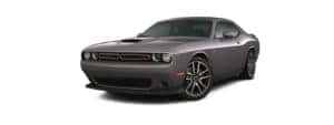 2023 Dodge Challenger Color Options | Glenn CDJR
